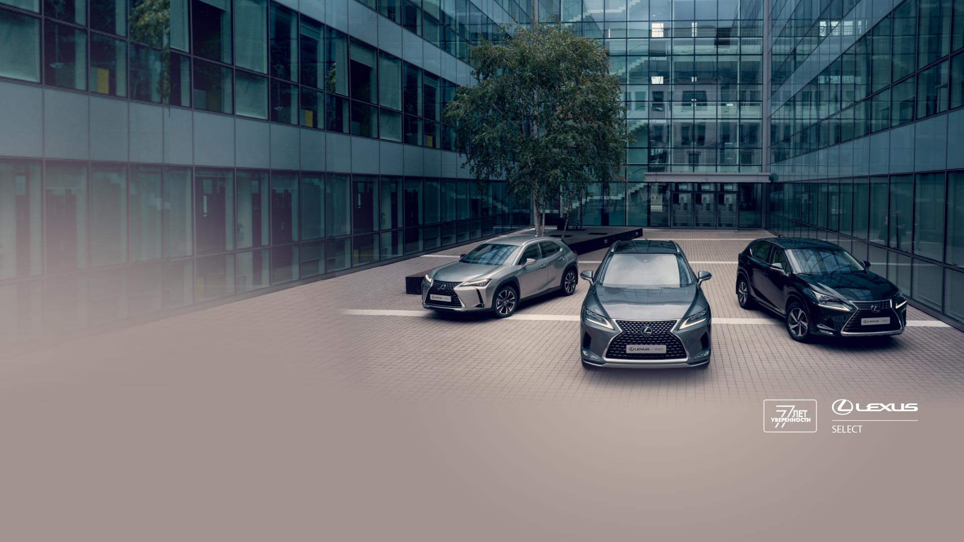 Автомобили Lexus в Барнауле | Официальный дилер «Лексус - Барнаул»